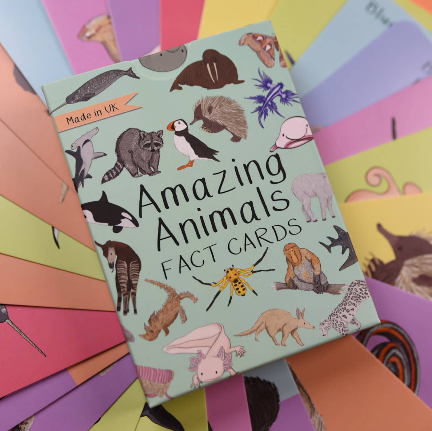 Amazing Animals Fact Cards – Brambly Trails